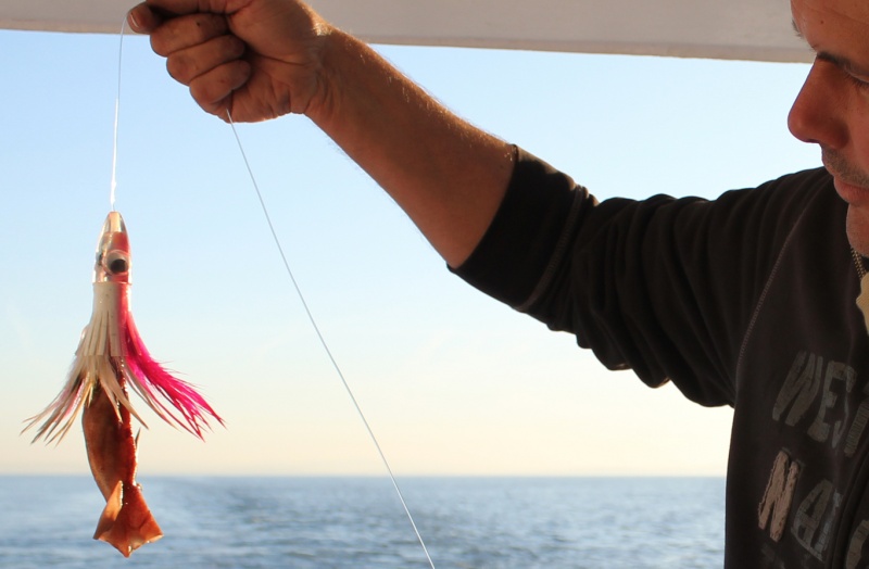 Pêche à la traîne technique pour le thon